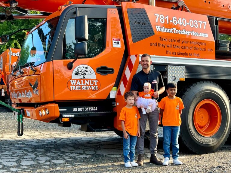 Tree Removal Company in Woburn, MA | Walnut Tree Service