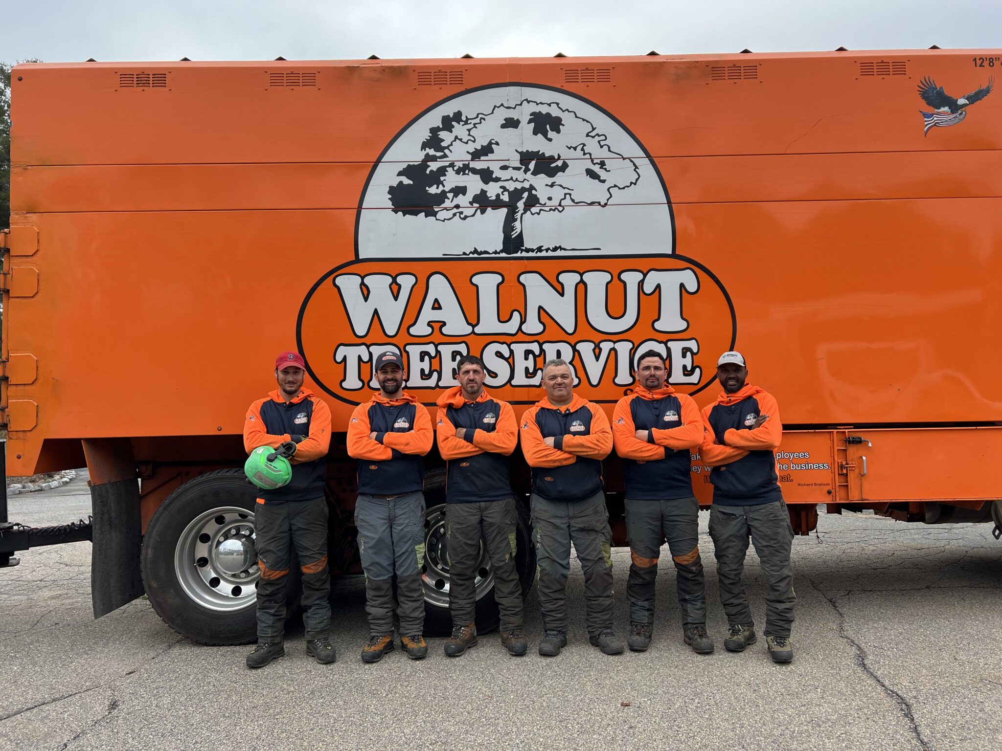Tree Removal & Tree Service in Westwood, MA | Walnut Tree Service